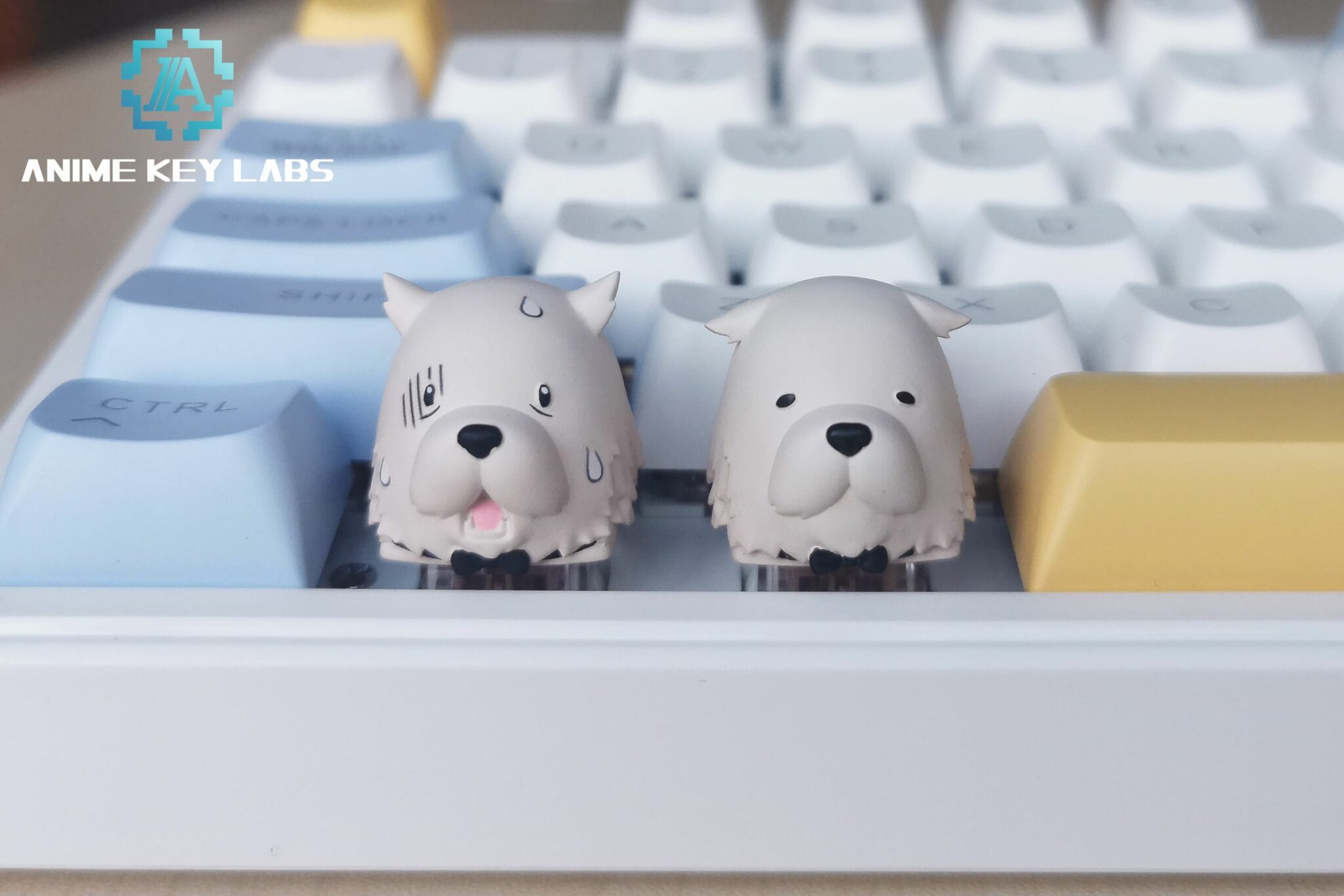 3D KeyCaps - ANIME KEY LABS